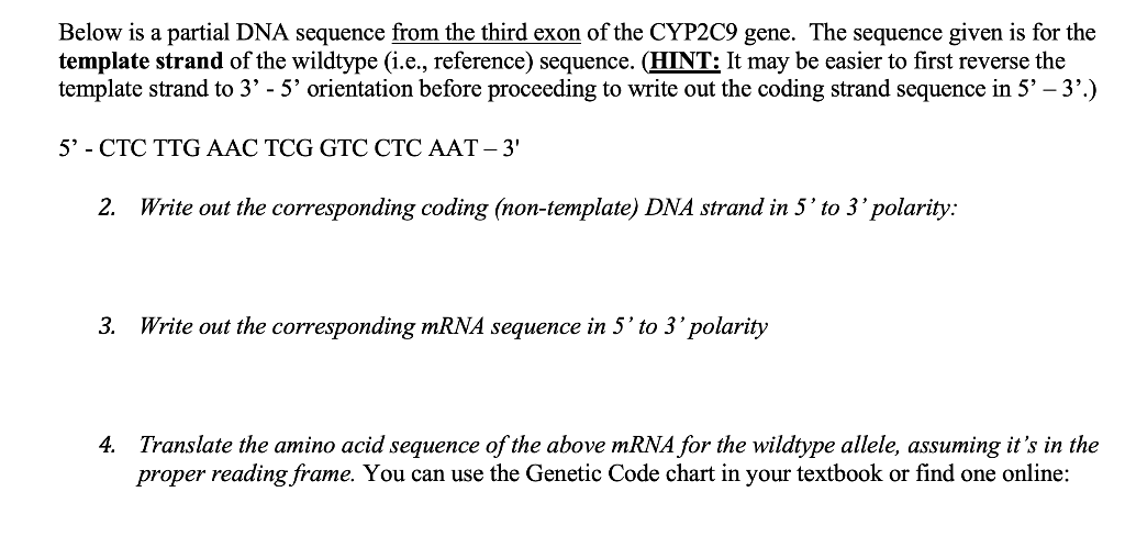 Solved Below is a partial DNA sequence from the third exon | Chegg.com