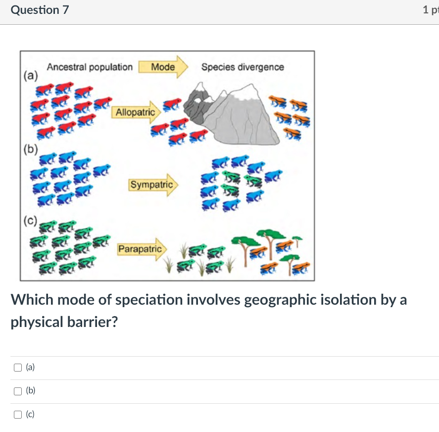 Solved Question 1 1 Original population Initial step of | Chegg.com