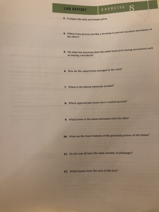 Solved 8 EXERCISE Date LAB REPORT The Appendicular Skeleton | Chegg.com