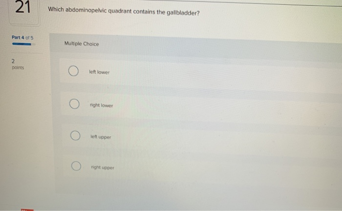 Solved Drag each label into the proper position to identify | Chegg.com Solved Drag each label into the proper position to identify | Chegg.com