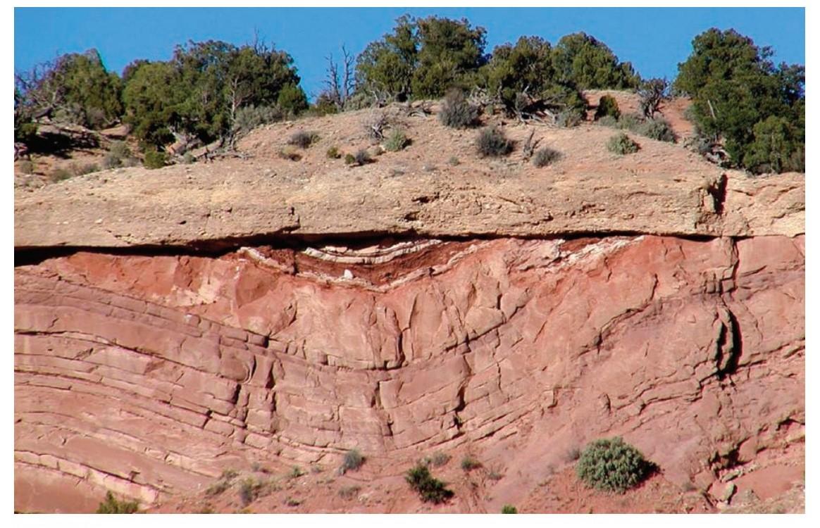 Solved C Analyze the outcrop shown in Fig. A8.1.3 | Chegg.com