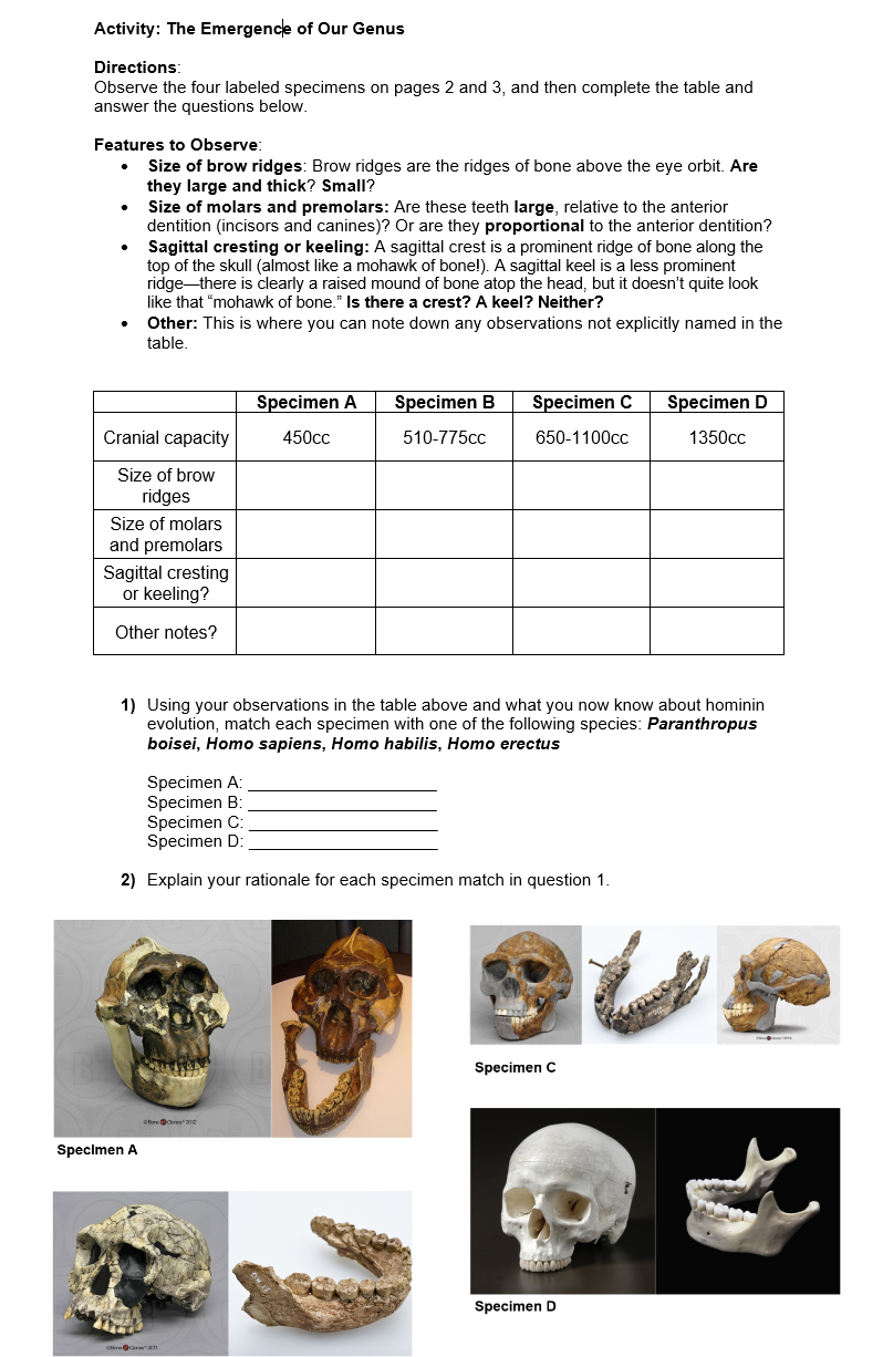 Solved Activity: The Emergence of Our Genus Directions | Chegg.com