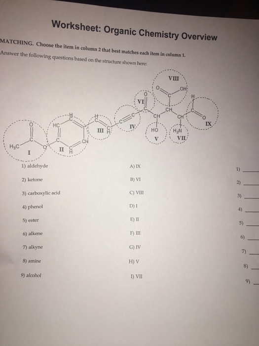 Solved Worksheet: Organic Chemistry Overview MATCHING. | Chegg.com