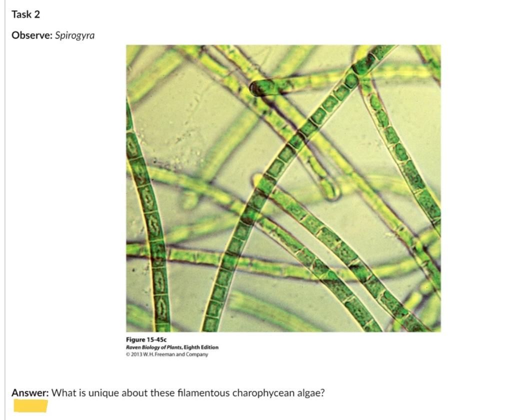HELP! I need detailed answers. To answer these | Chegg.com