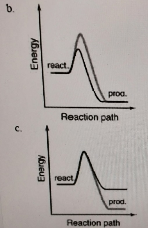 Solved which reaction pathway graph show effects of a | Chegg.com