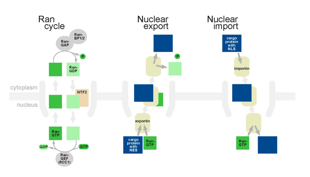 Solved Use the diagram below (and of course the lectures and | Chegg.com