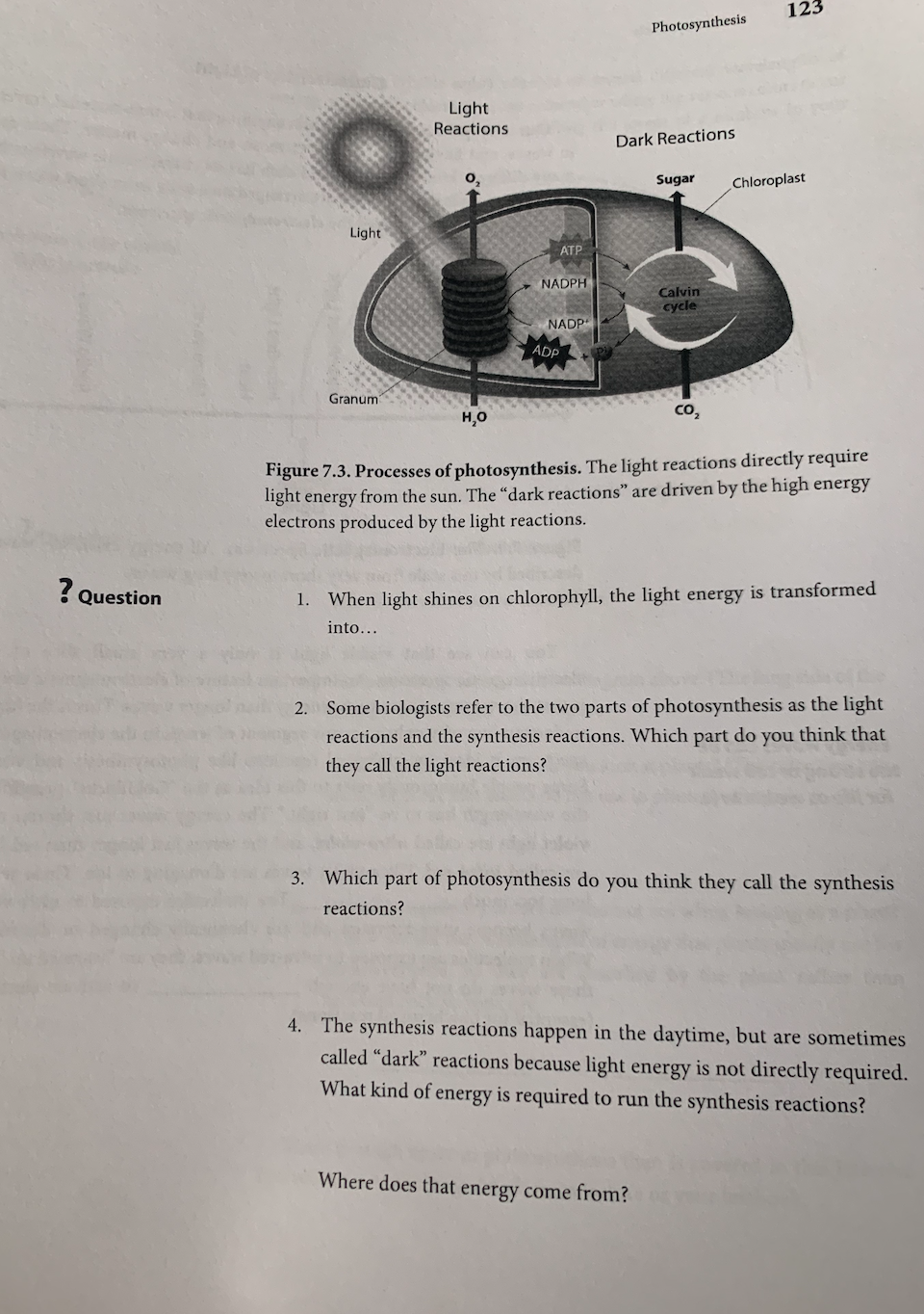Solved 123 Photosynthesis Light Reactions Dark Reactions 0 | Chegg.com