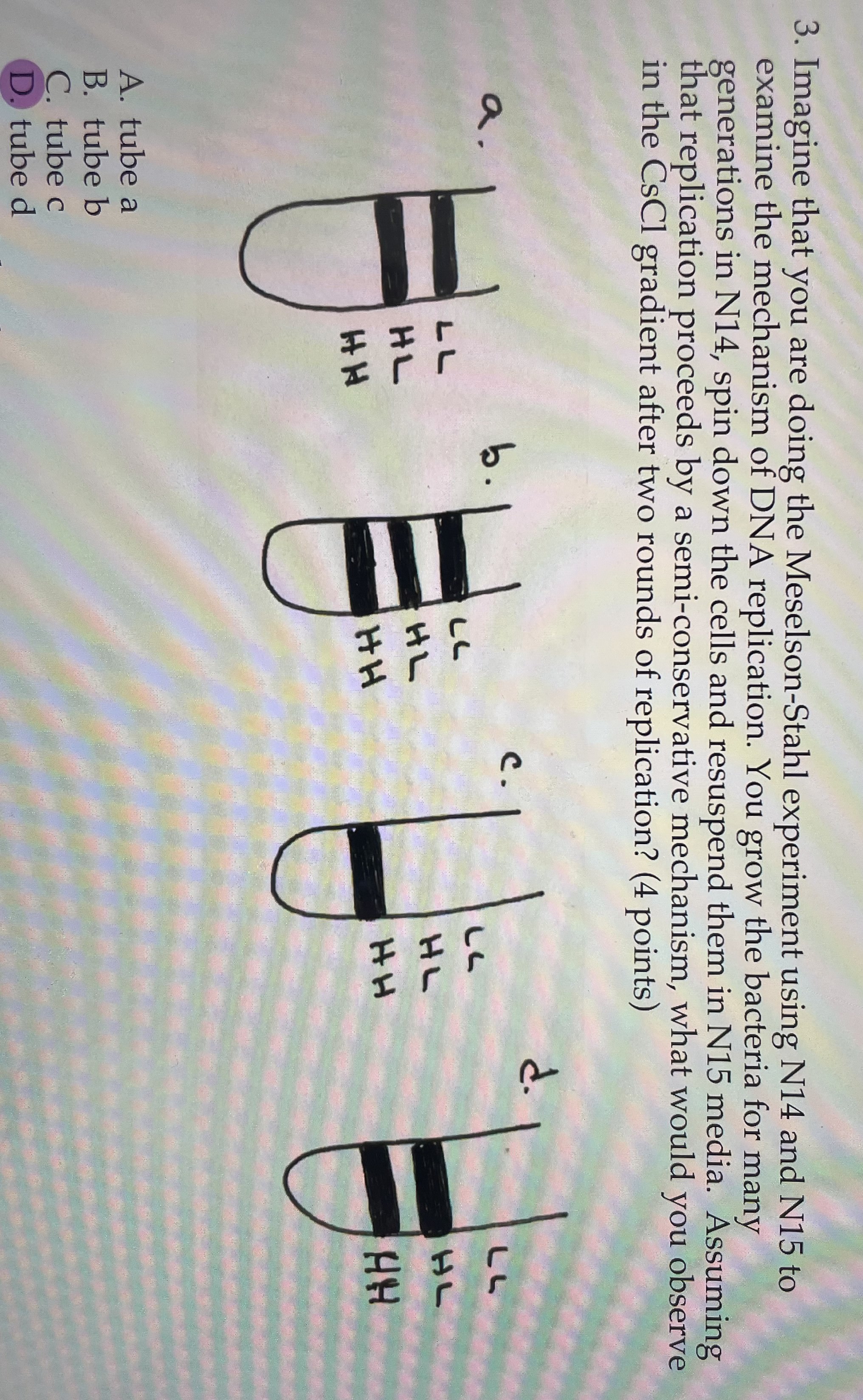 Solved Imagine that you are doing the Meselson-Stahl | Chegg.com