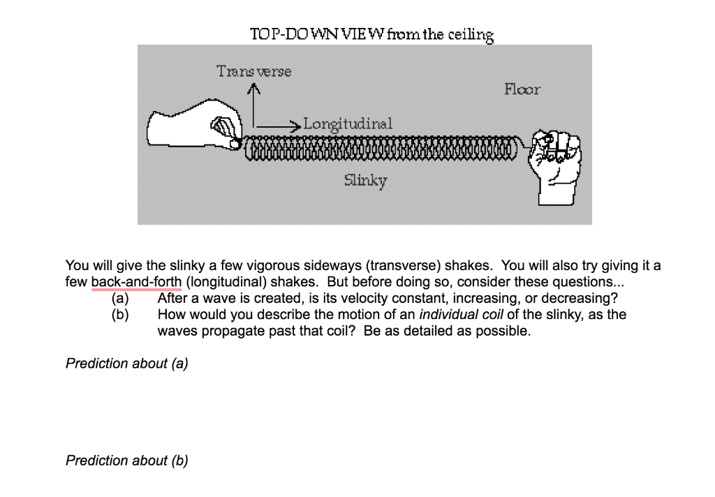 Longitudinal Wave Slinky