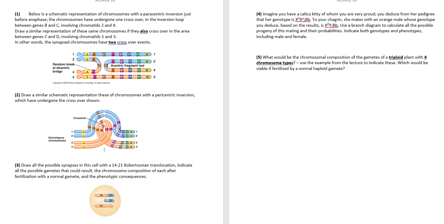 (1) Below is a schematic representation of | Chegg.com