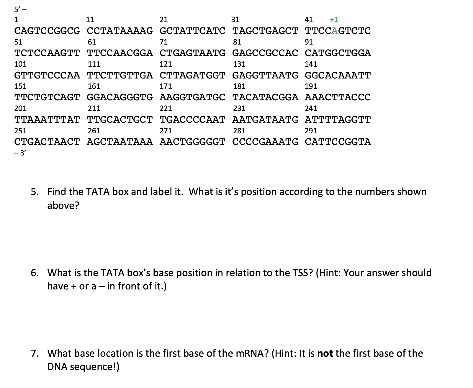 Solved 5. Find the TATA box and label it. What is it's | Chegg.com
