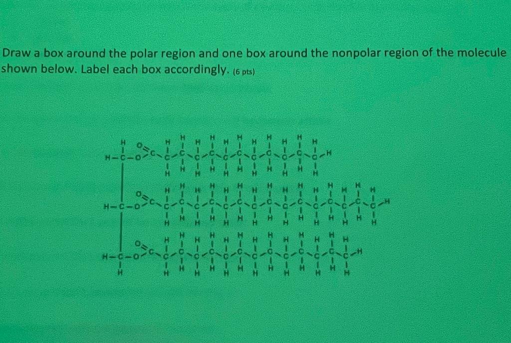 Solved Draw a box around the polar region and one box around | Chegg.com