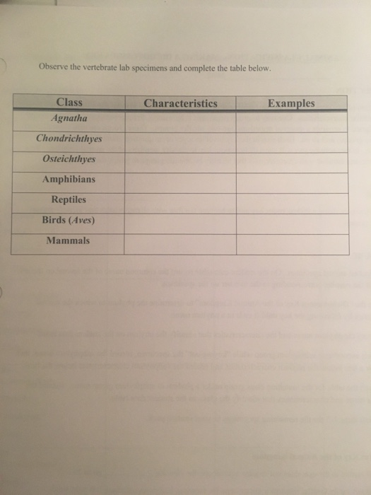 Solved Observe the vertebrate lab specimens and complete the | Chegg.com