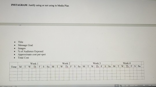 Marketing 420 Advertising Media Flight Plan | Chegg.com