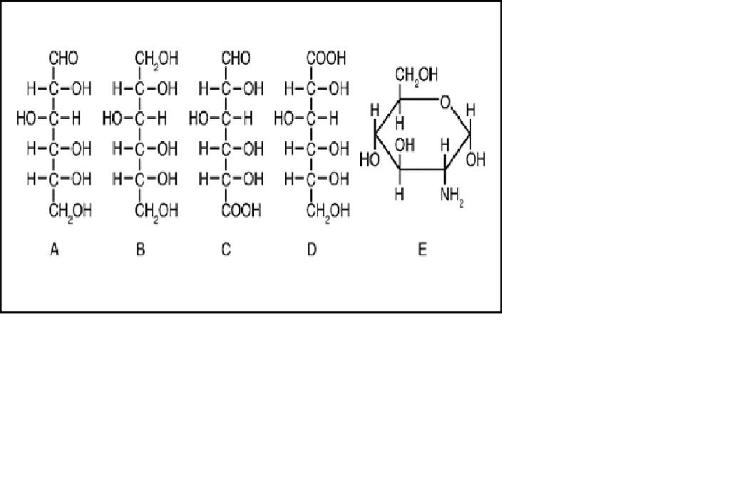 Review the following structures and answer the | Chegg.com