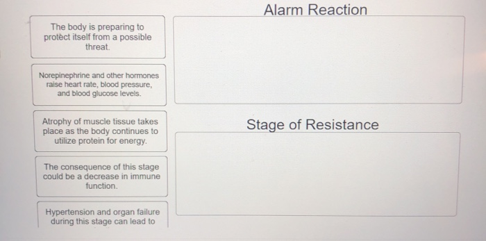 Solved Alarm Reaction The body is preparing to protèct | Chegg.com