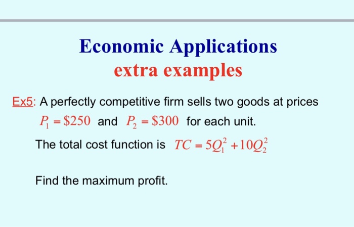 Solved Economic Applications extra examples Ex5: A perfectly | Chegg.com