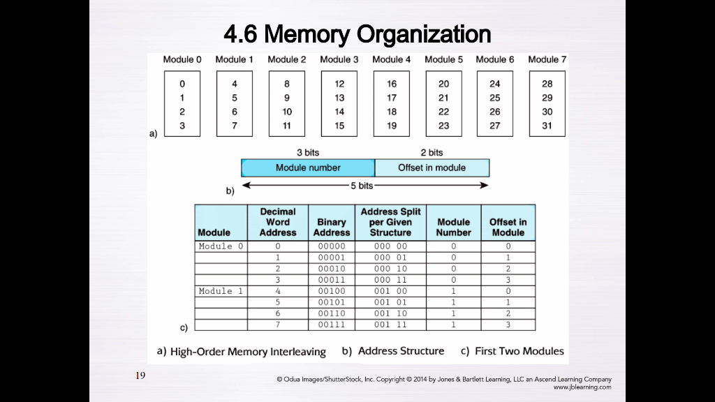 Solved 4.6 Memory Organization Module 0 Module 1 Module 2 | Chegg.com