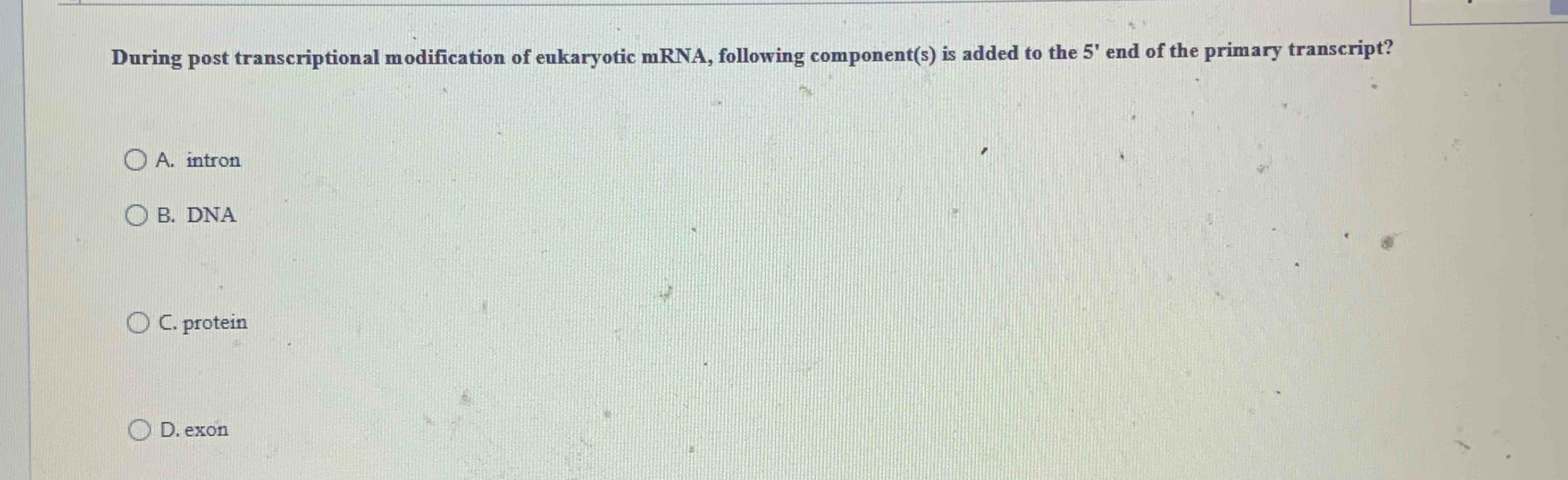 Solved During post transcriptional modification of | Chegg.com