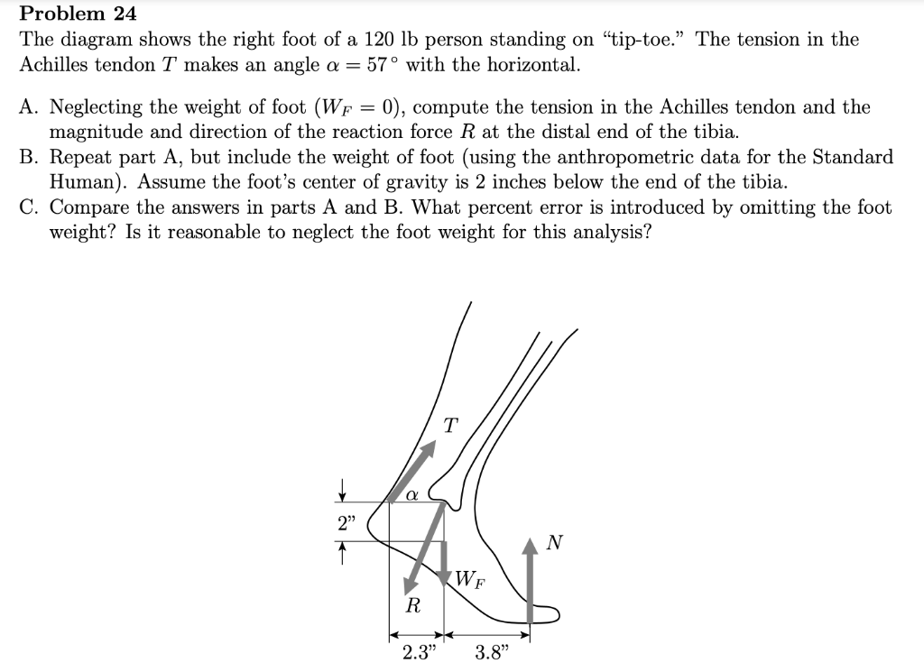 Solved = Problem 24 The diagram shows the right foot of a | Chegg.com