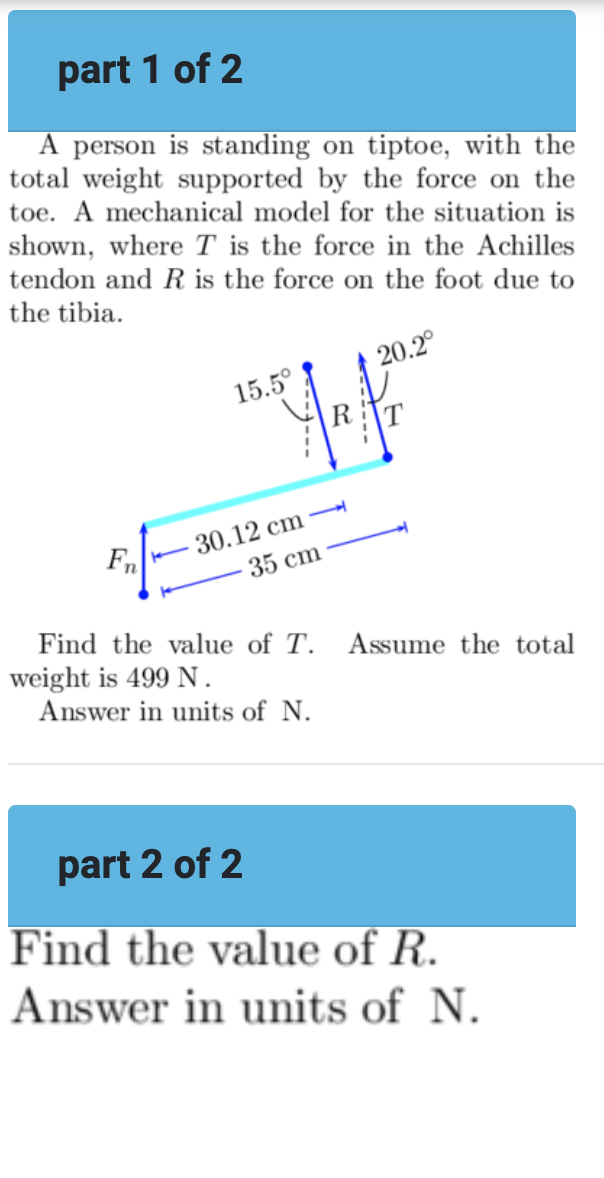 Solved part 1 of 2 A person is standing on tiptoe, with the | Chegg.com