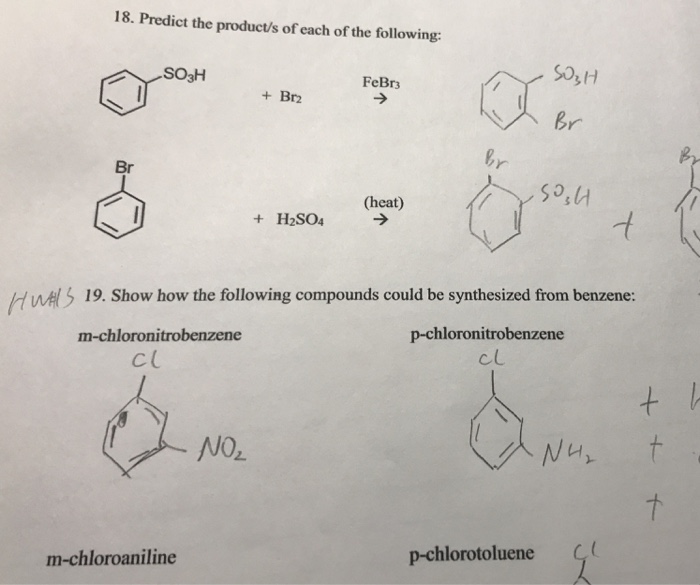 Solved Predict the product/s of each of the following: Show | Chegg.com