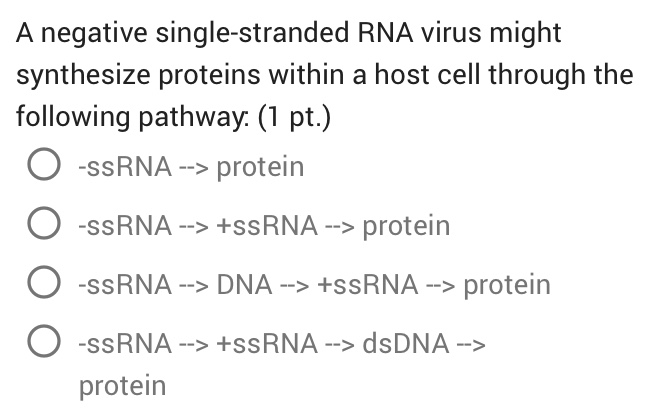 Solved A negative single-stranded RNA virus might synthesize | Chegg.com