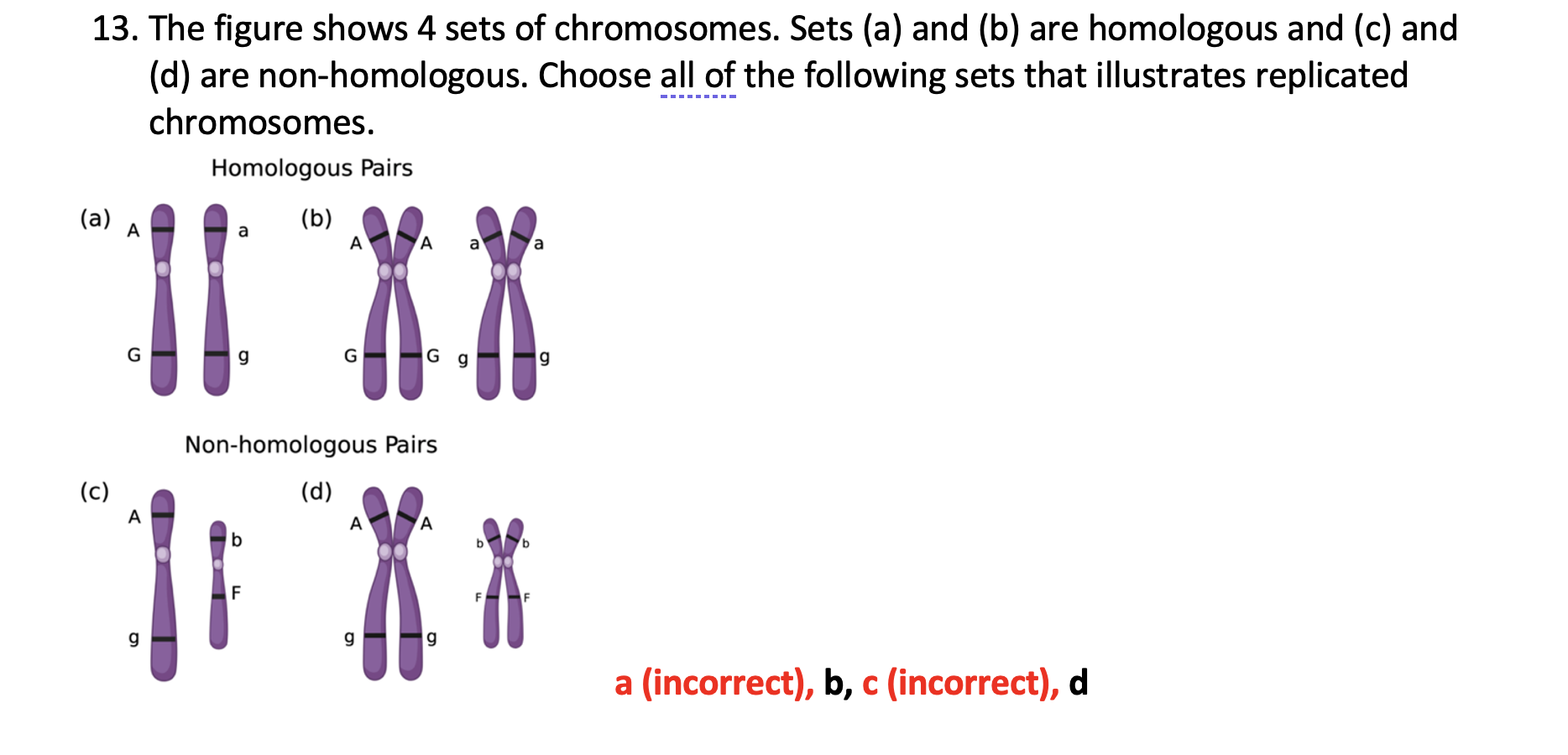 Solved 13. The figure shows 4 sets of chromosomes. Sets (a) | Chegg.com