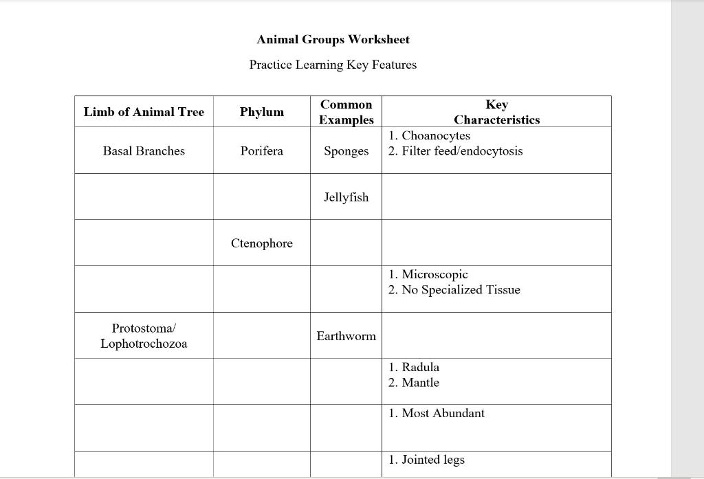 Solved Animal Groups Worksheet Practice Learning Key | Chegg.com