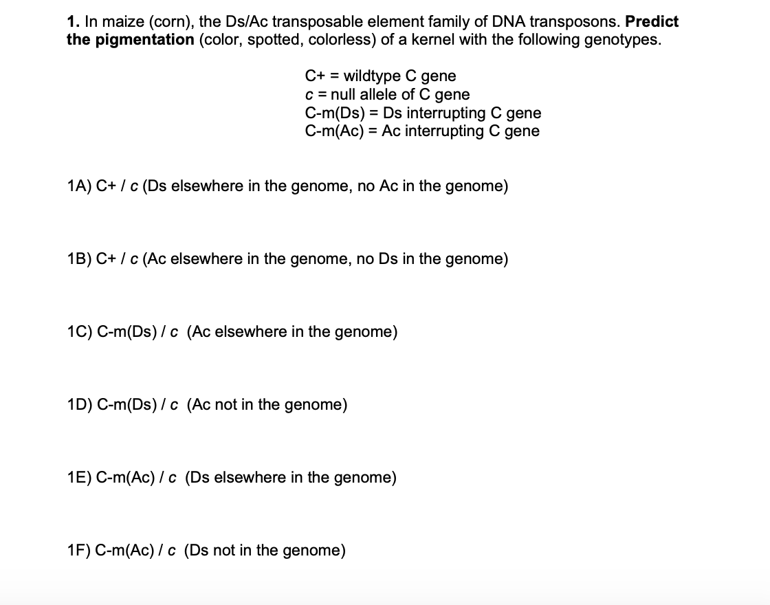 Solved 1. In maize (corn), the Ds/Ac transposable element | Chegg.com