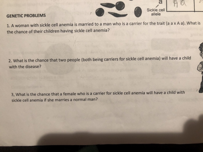 Solved Sickle cell _ GENETIC PROBLEMS allele 1. A woman with | Chegg.com