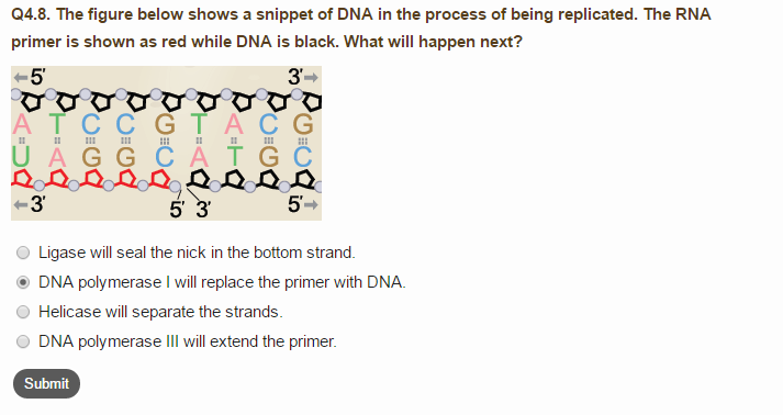 Solved: Q4.8. The Figure Below Shows A Snippet Of DNA In T... | Chegg.com
