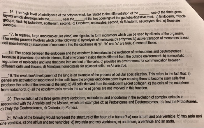 Solved uM 16. The high level of intelligence of the octopus | Chegg.com