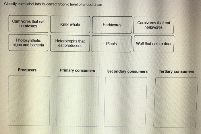 Solved Classify each label into its correct trophic level of | Chegg.com
