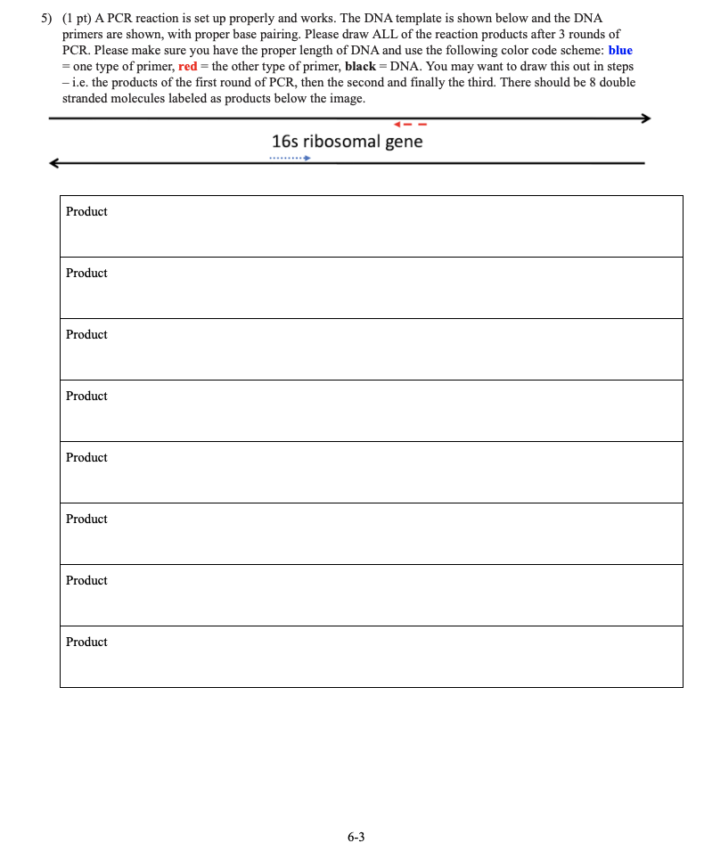 Solved 5) (1 pt) A PCR reaction is set up properly and | Chegg.com