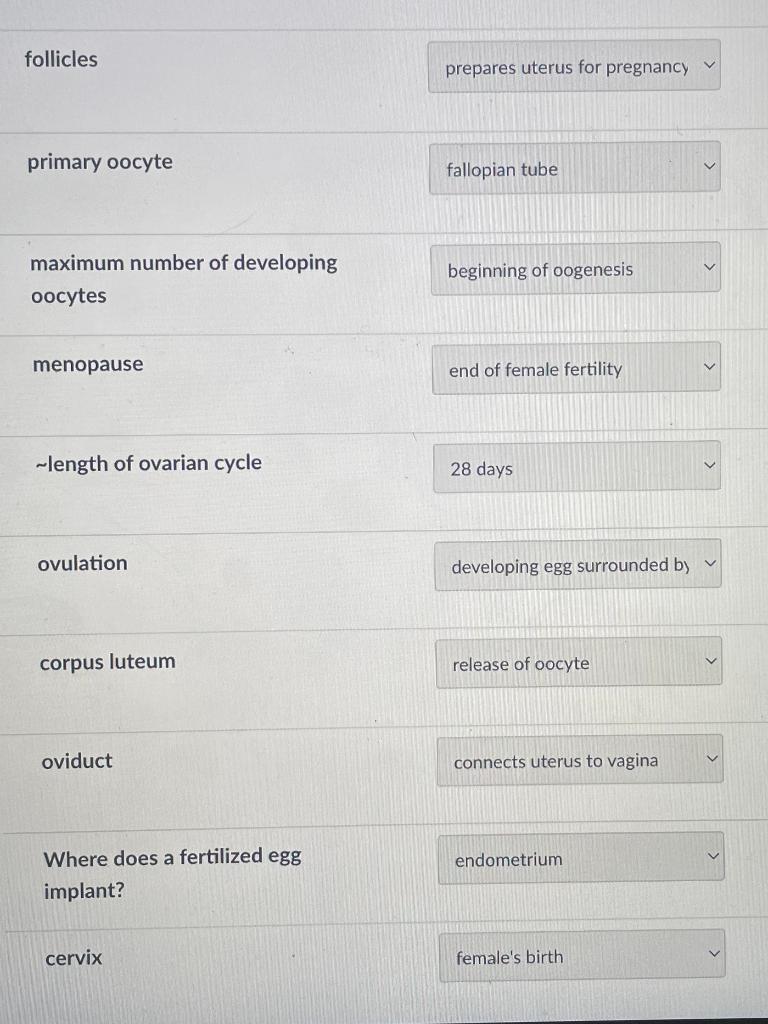 Solved follicles primary oocyte maximum number of developing | Chegg.com