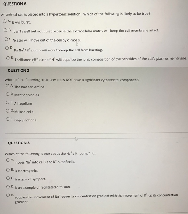An Animal Cell Is Placed In A Hypertonic Solution. Circle Which Of The ...