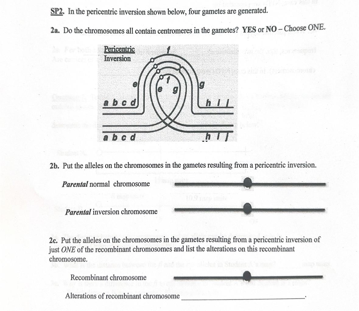 Solved SP2. In the pericentric inversion shown below, four | Chegg.com