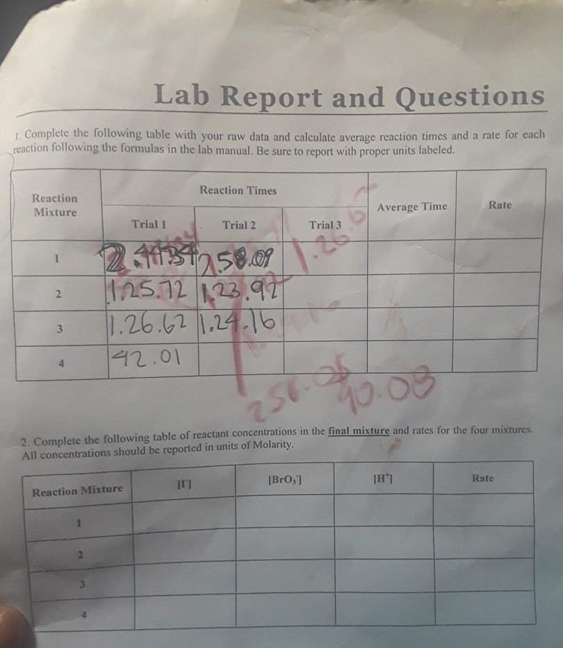 Lab Report and Questions i. Complete the following | Chegg.com