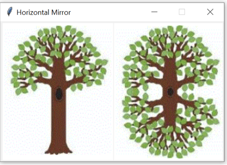 Solved Python Use Only Cimage Library Mirroring Is A 