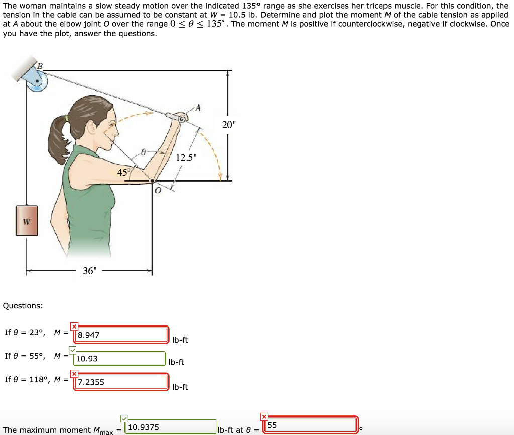 Solved The woman maintains a slow steady motion over the | Chegg.com