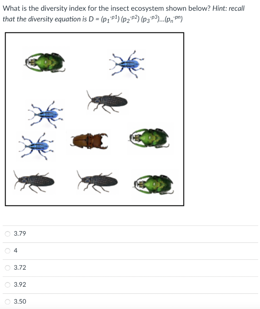 Solved What is the diversity index for the insect ecosystem | Chegg.com