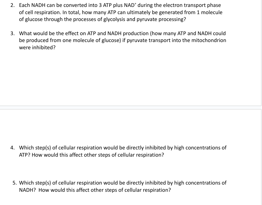 Solved 2. Each NADH can be converted into 3 ATP plus | Chegg.com