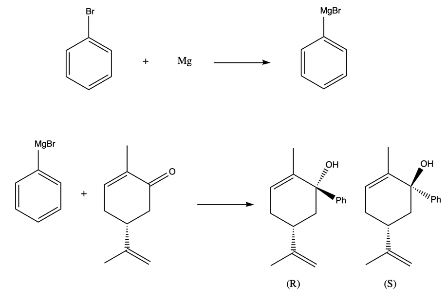 Solved Only one of these products is formed in reality. Can | Chegg.com