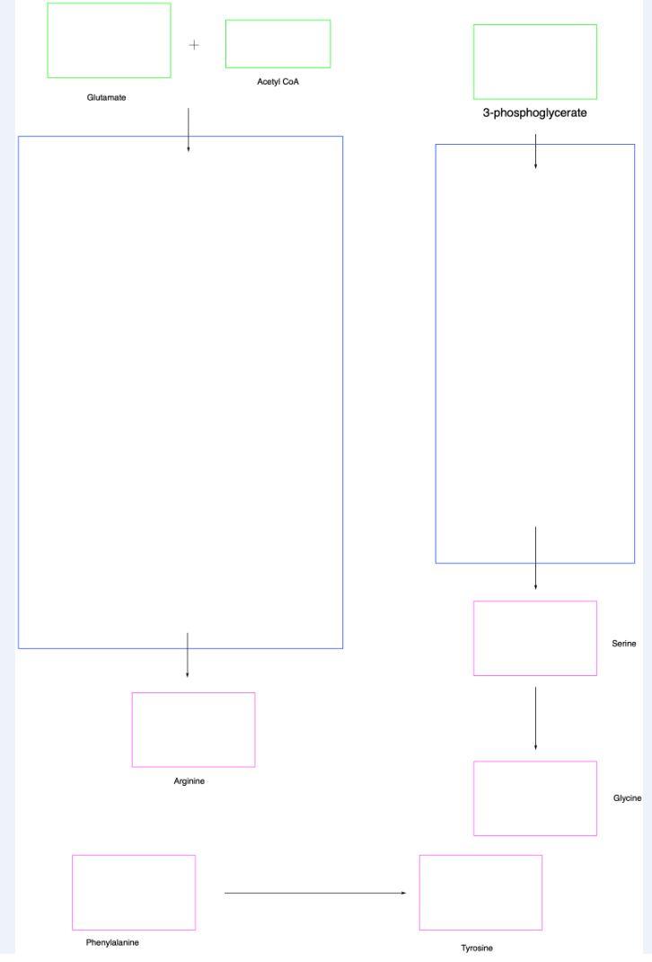 Solved Fill in boxes labelled Q1 on worksheets 4, 9, and 14 | Chegg.com