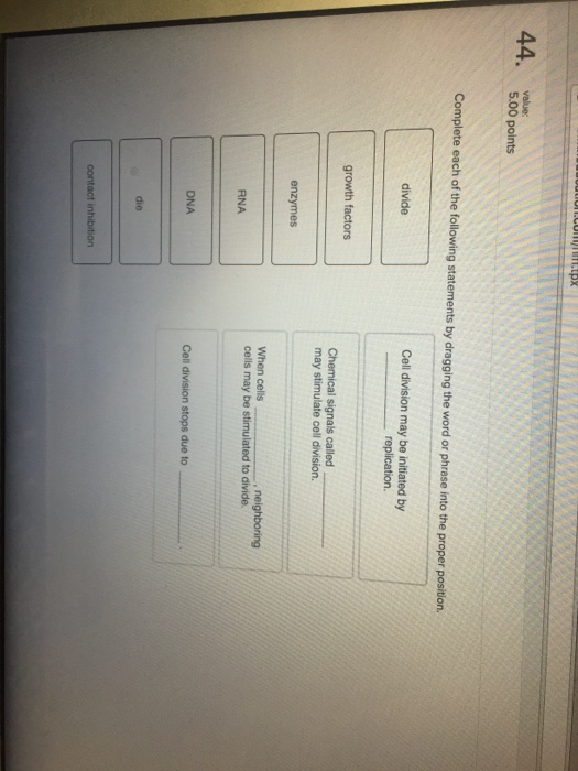 Solved Complete each of the following statements by dragging | Chegg.com