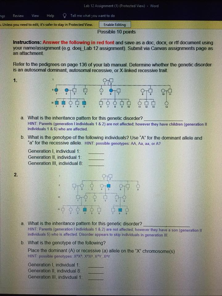 Solved Lab 12 Assignment () (Protected View)- Word ngs | Chegg.com