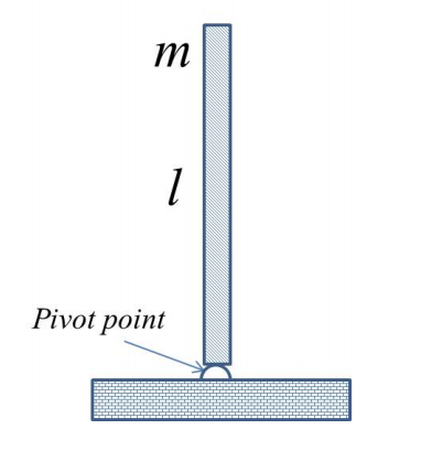Solved A long, thin rod of mass m and length l is standing | Chegg.com