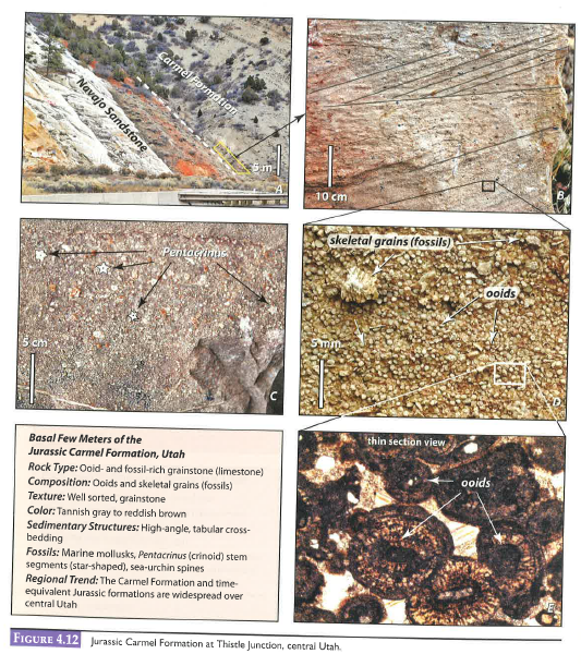 Solved PART F Jurassic Carmel Formation, Utah (Figure 4.12) | Chegg.com