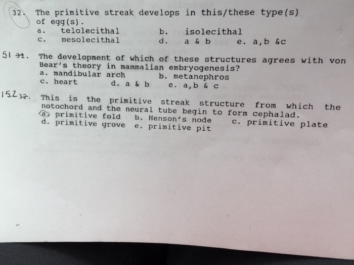Solved The primitive streak develops in this/these type (s) | Chegg.com